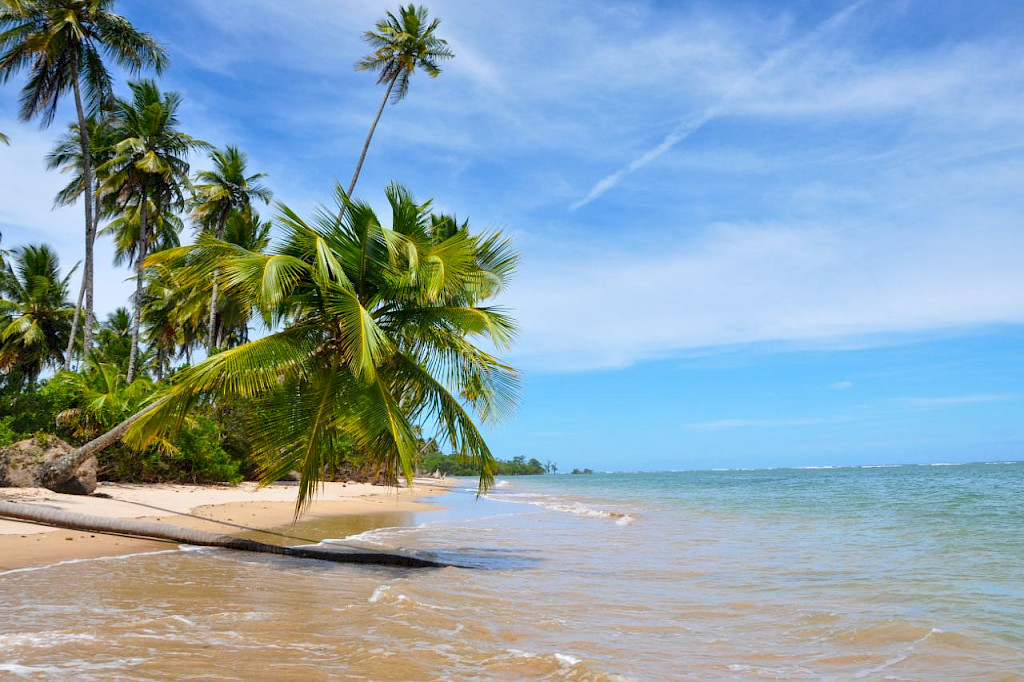 Our favourite Beaches in Brazil Uncover South America