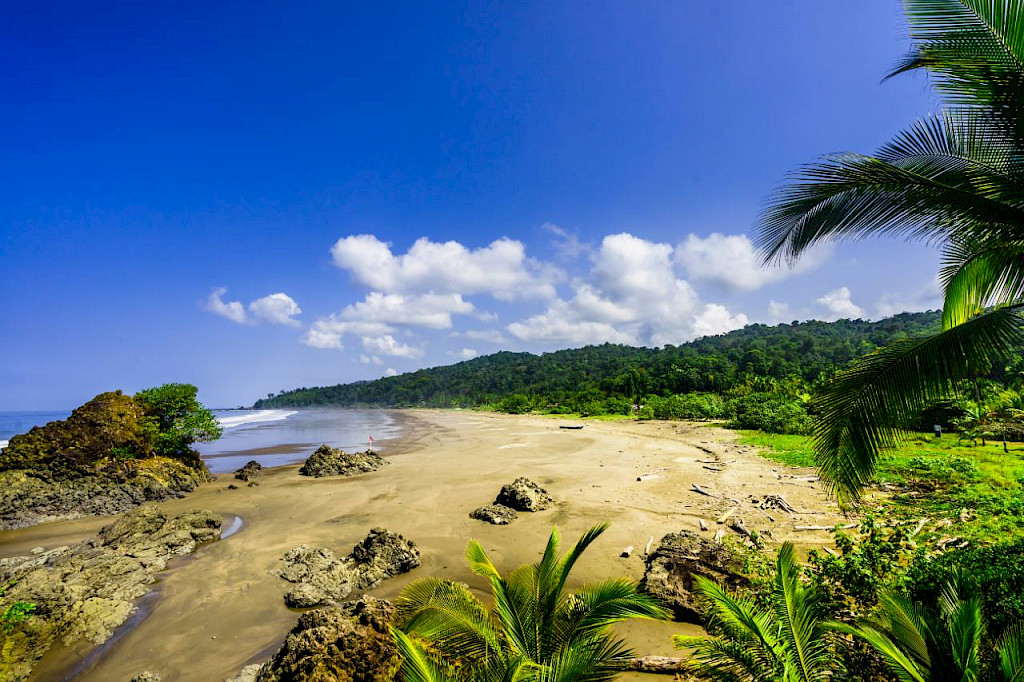 Discover the Hidden Secrets of Colombia’s Pacific Coast Uncover South ...