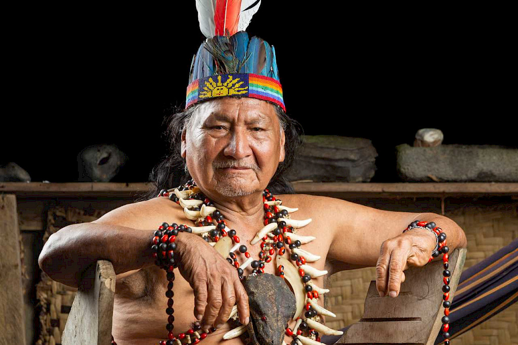 Exploring Ecuador's Wilderness: A Traveller's Guide Uncover South America